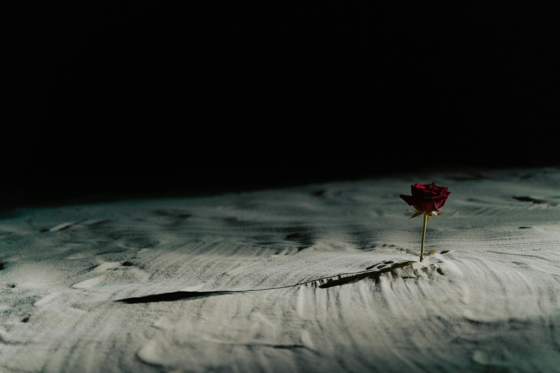 The Becoming of Strength – A Poem on Endurance and Inner Grace